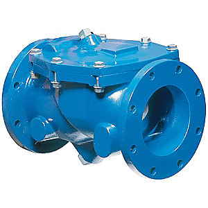 Check Valves | Asmuss